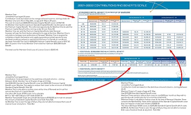 Contribution and Benefits Scale Examples